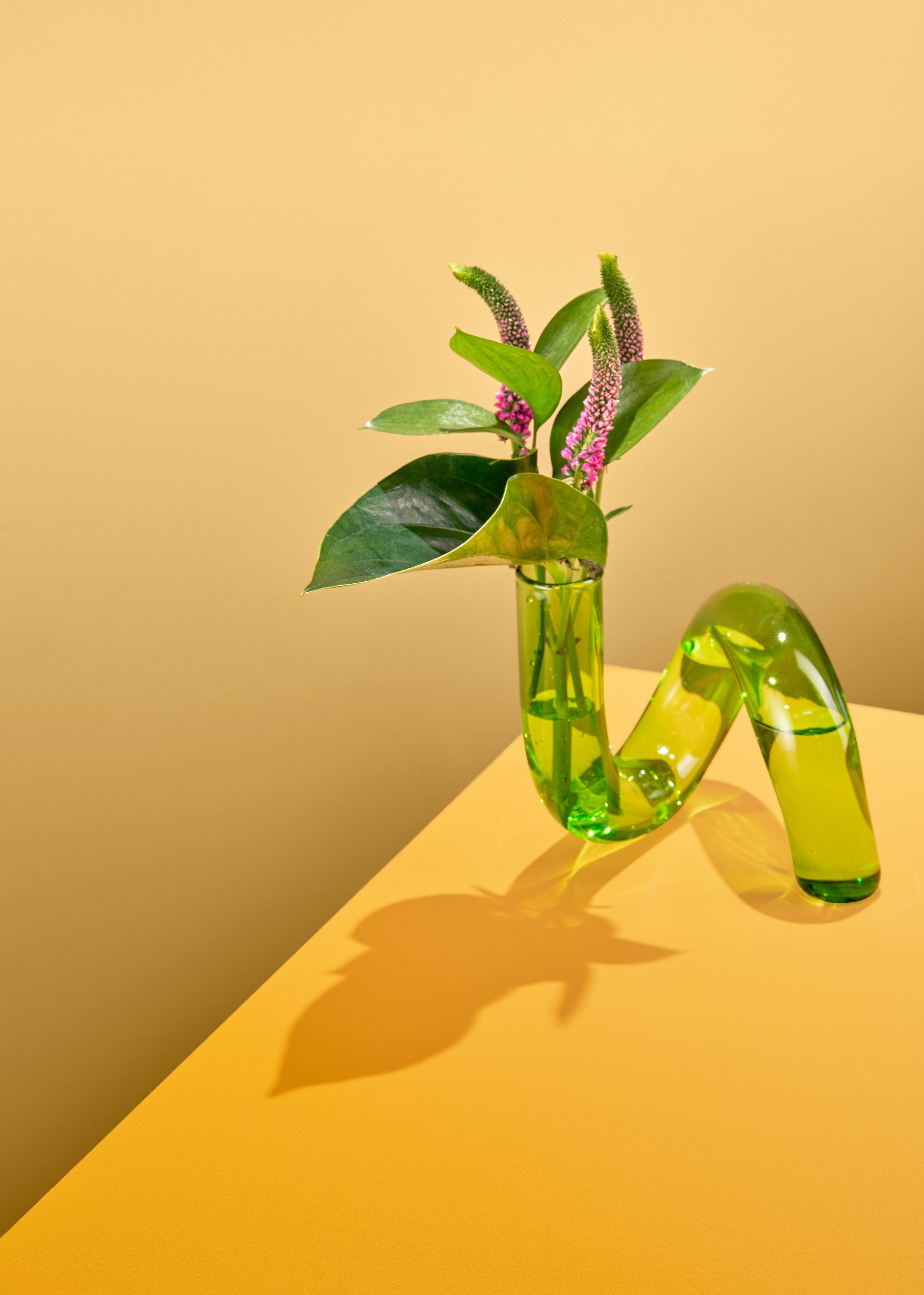 Block Colour Vinyl Backdrops – Club Backdrops